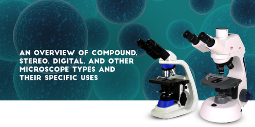 An Overview of Compound, Stereo, Digital, and Other Microscope Types a ...