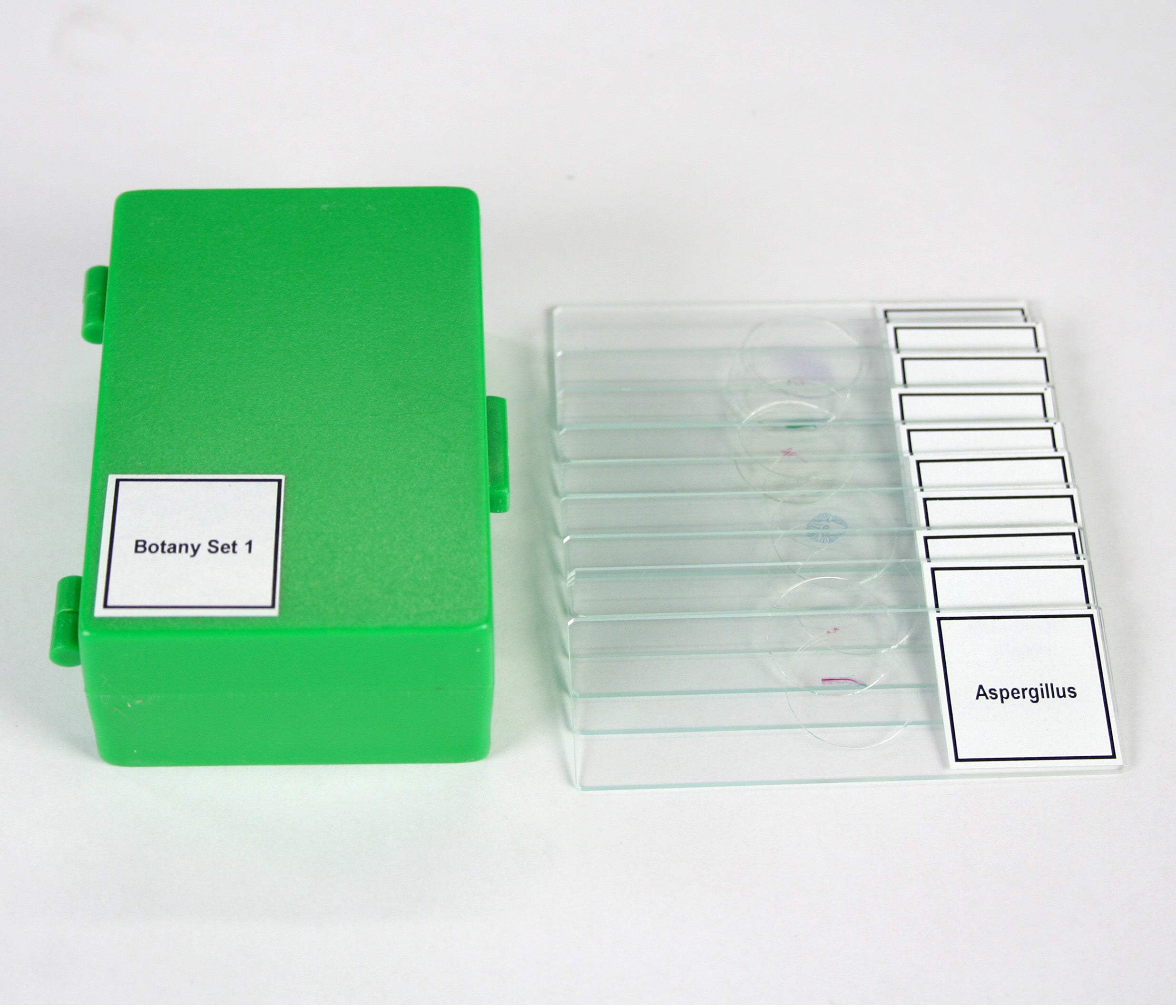 Botany Slide Kit | MA806 | Swift Optical – Motic Swift Line