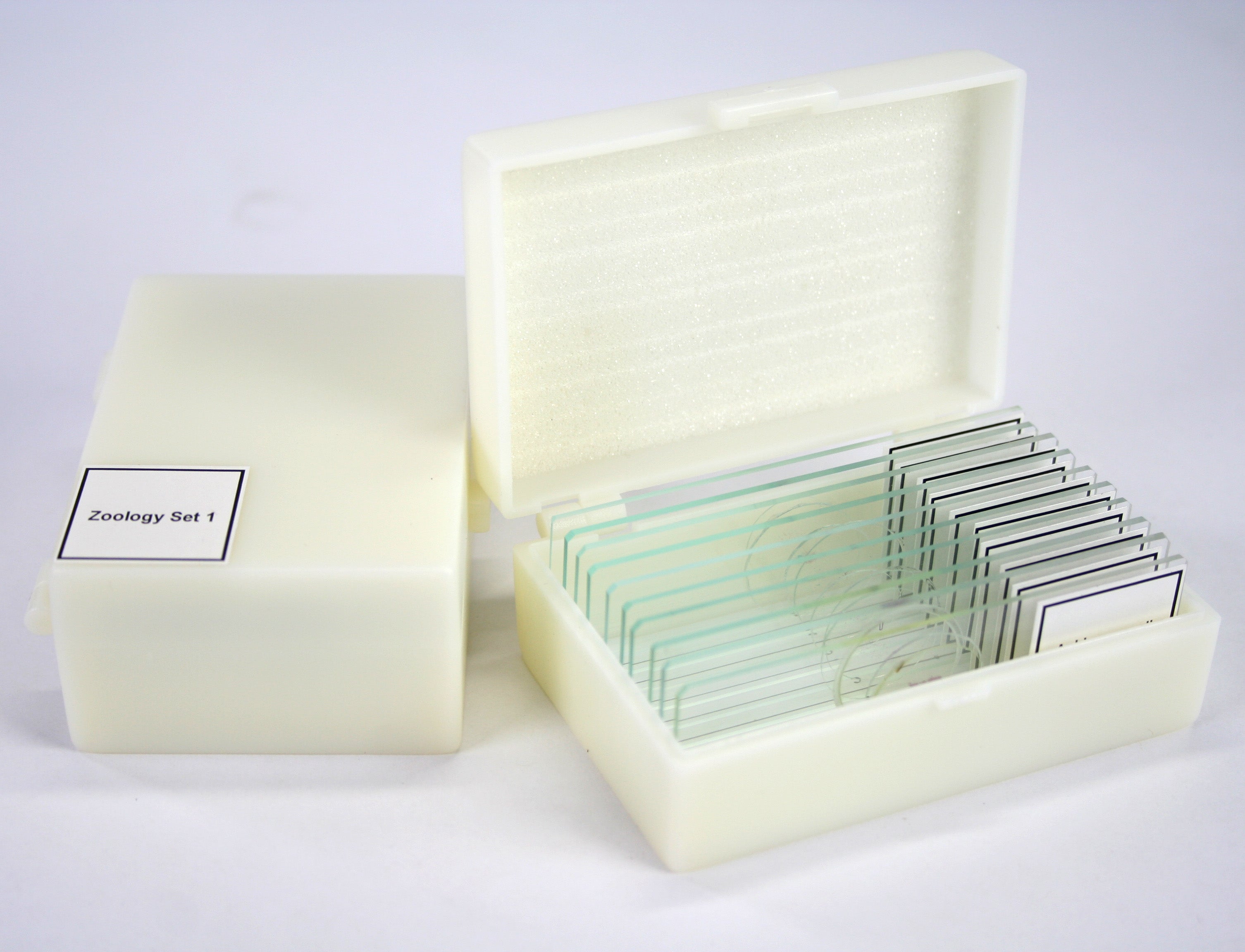 Microscope Parts & Accessories – Motic Swift Line