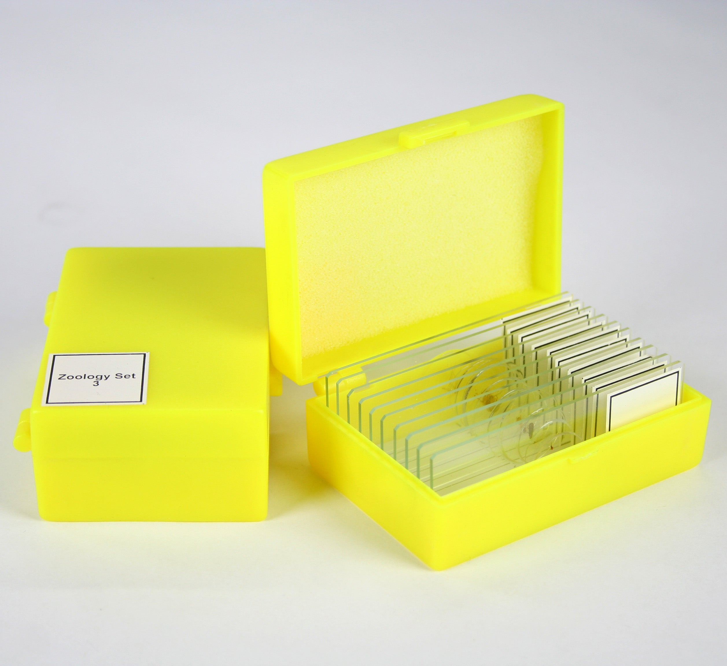 Microscope Parts & Accessories – Motic Swift Line